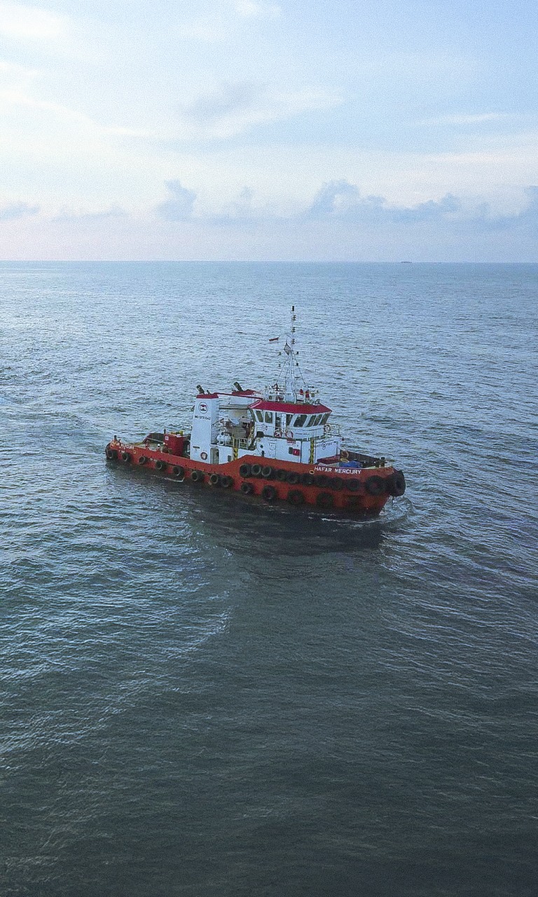 Offshore Oil & Gas EPCI - Petrosea